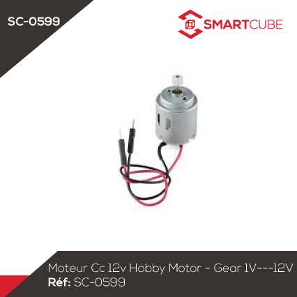 Moteur Cc 12v Hobby Motor – Gear 1V—12V prix tunisie - Price.tn