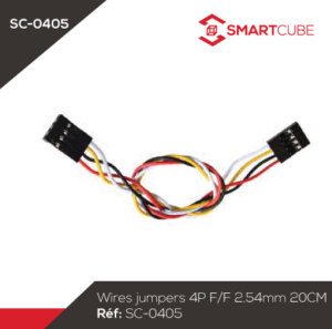 Wires jumpers 4P F/F 2.54mm 20CM – SMART CUBE